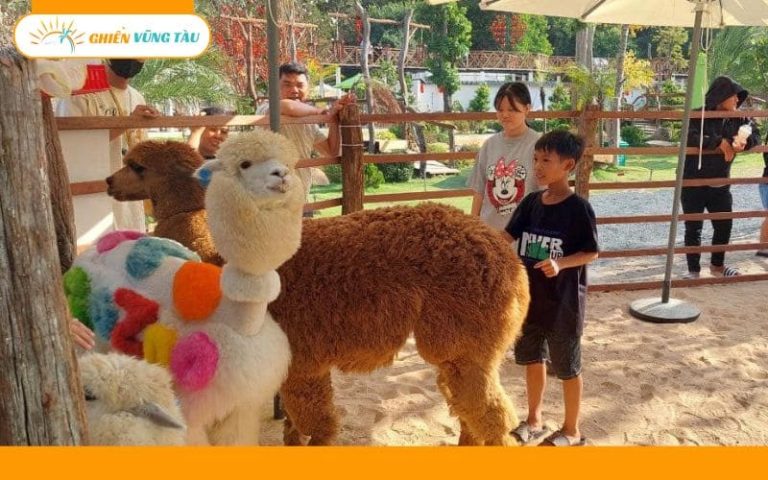 Review nông trại Gozoo Farm - Điểm đến ‘siêu xinh” tại Vũng Tàu - Ghiền ...