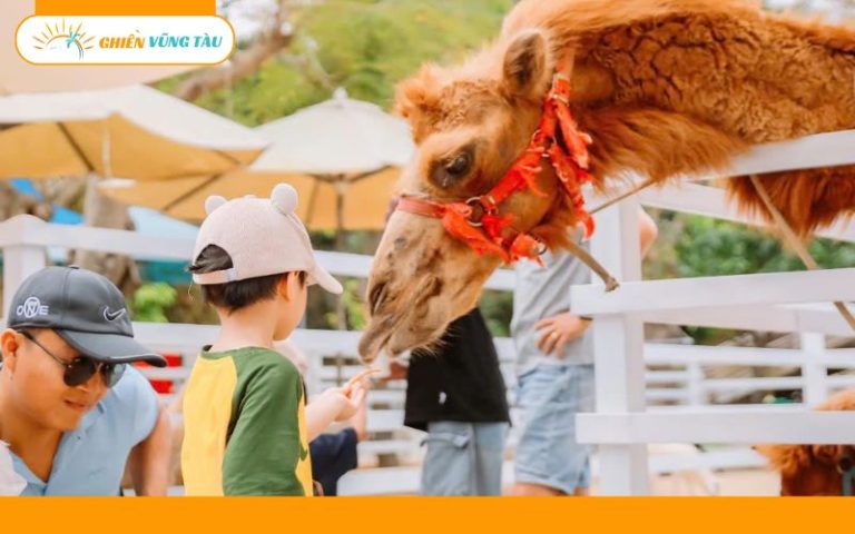 Review nông trại Gozoo Farm - Điểm đến ‘siêu xinh” tại Vũng Tàu - Ghiền ...